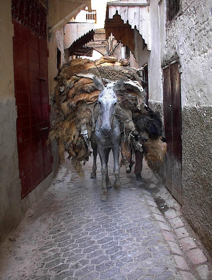 Chouara Tannery (FEZ) // Morocco's Ancient & Vibrant Leather Tanneries