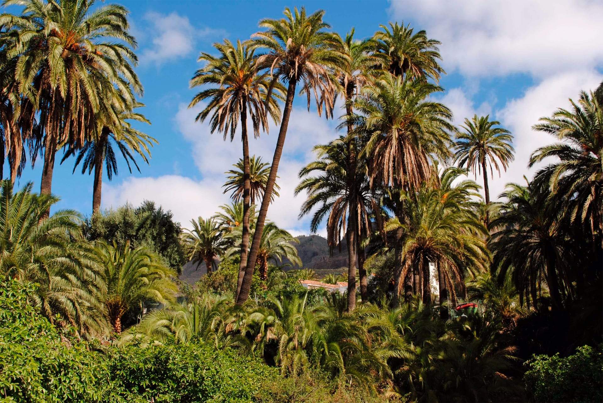 Best Hotels in Marrakech // Updated For 2020